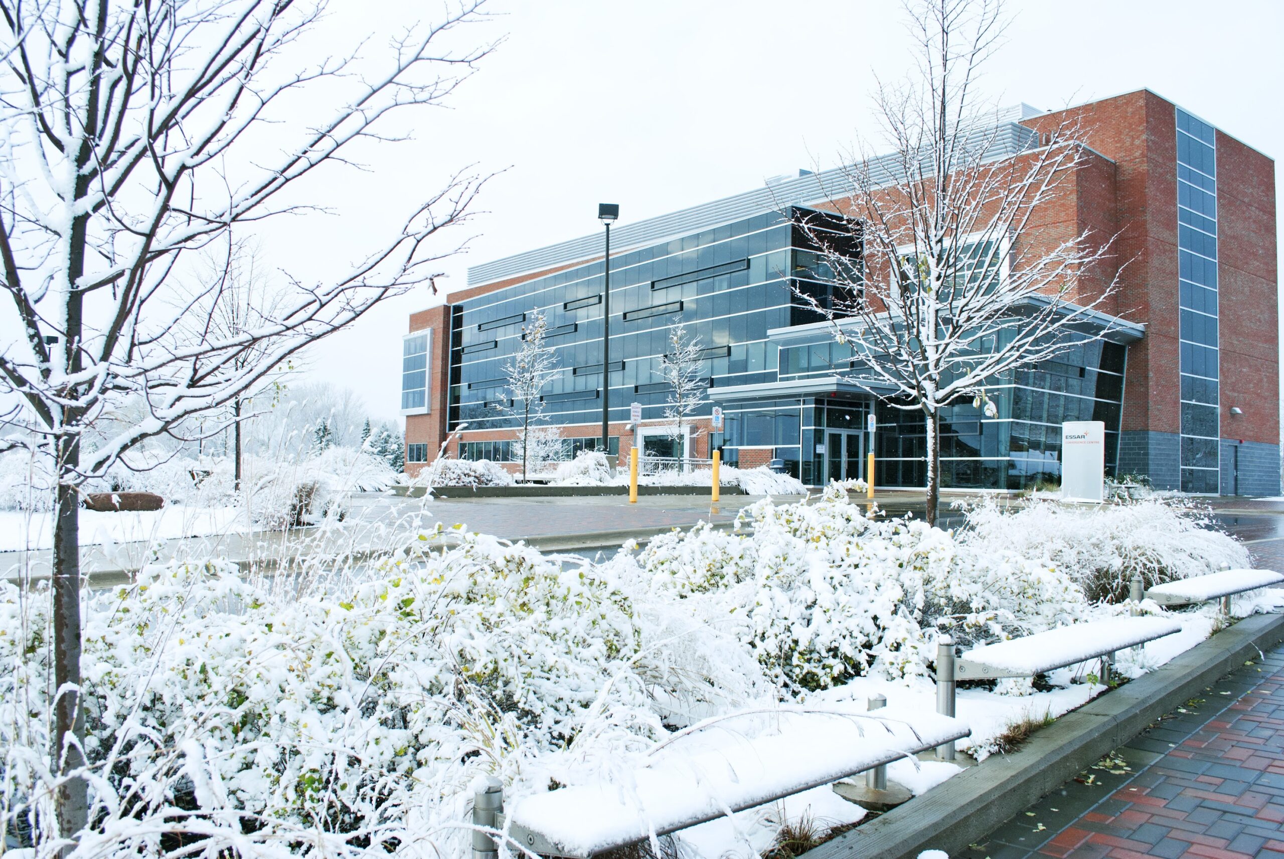 Algoma University drives research excellence and community impact ...